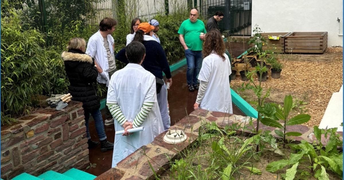Le jardin thérapeutique sur le site Henri Ey accueille ses premiers ...