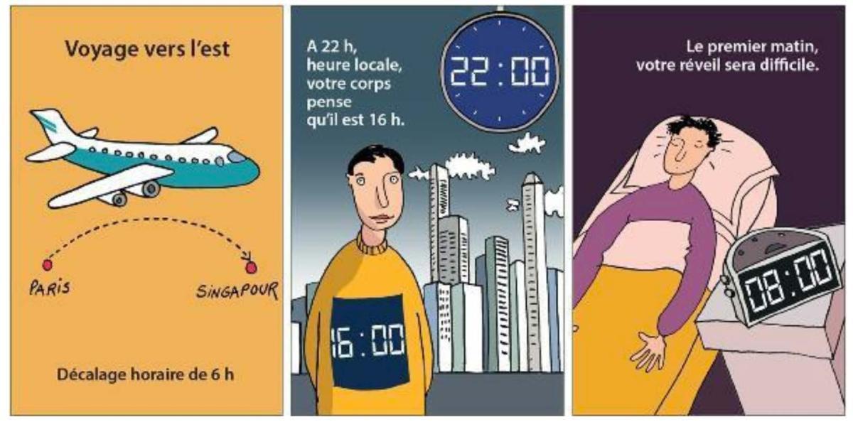 Le jet lag, guide de bonnes pratiques pour les voyageurs | GHU Paris ...