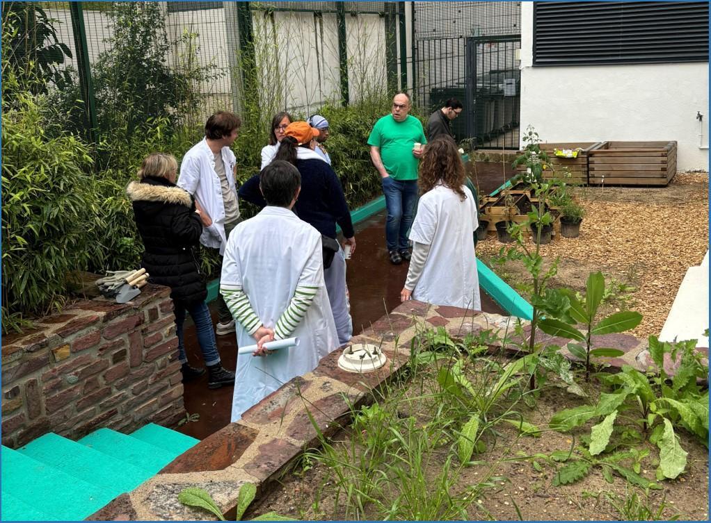 Le jardin thérapeutique sur le site Henri Ey accueille ses premiers ...